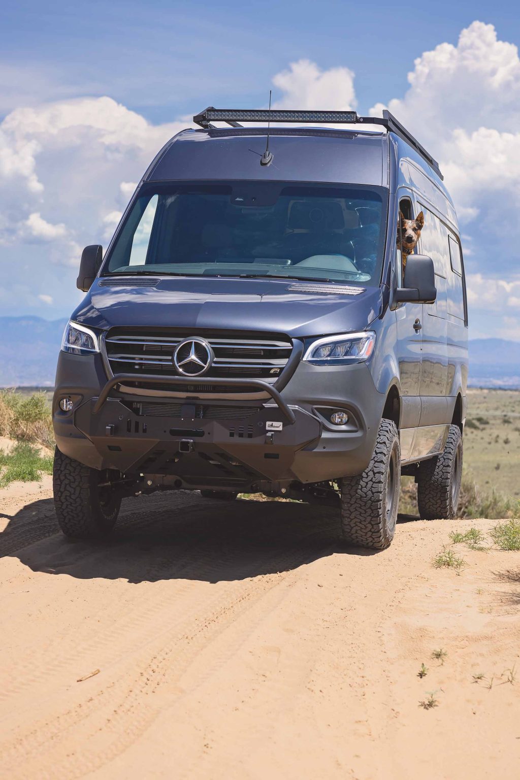 Action Jackson/sale – Rally Van LLC